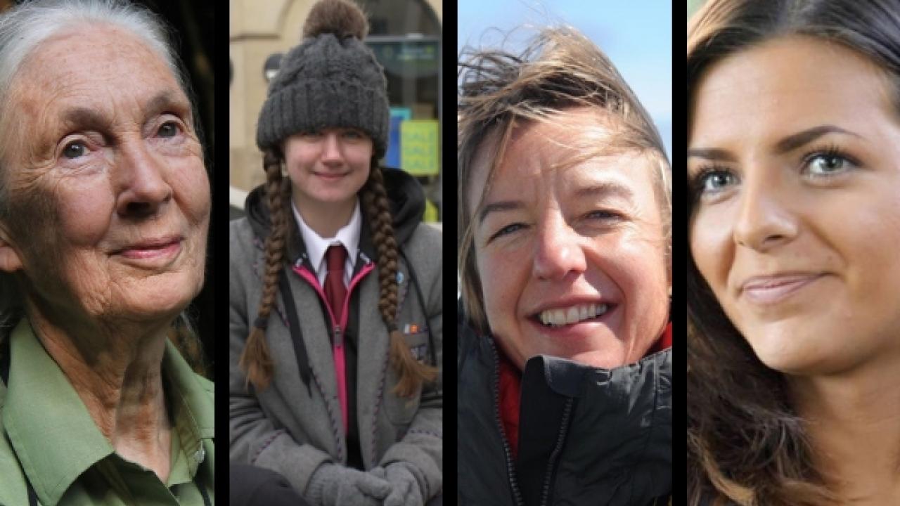 如何拯救地球：简·古道尔(Jane Goodall)博士、塔拉·希恩(Tara Shine)和安娜·克纳汉(Anna Kernahan)访谈 ...